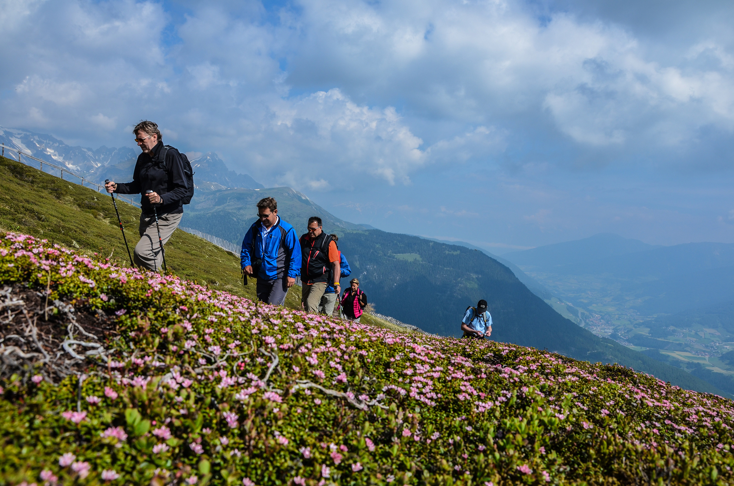 Gradering vandringsresor